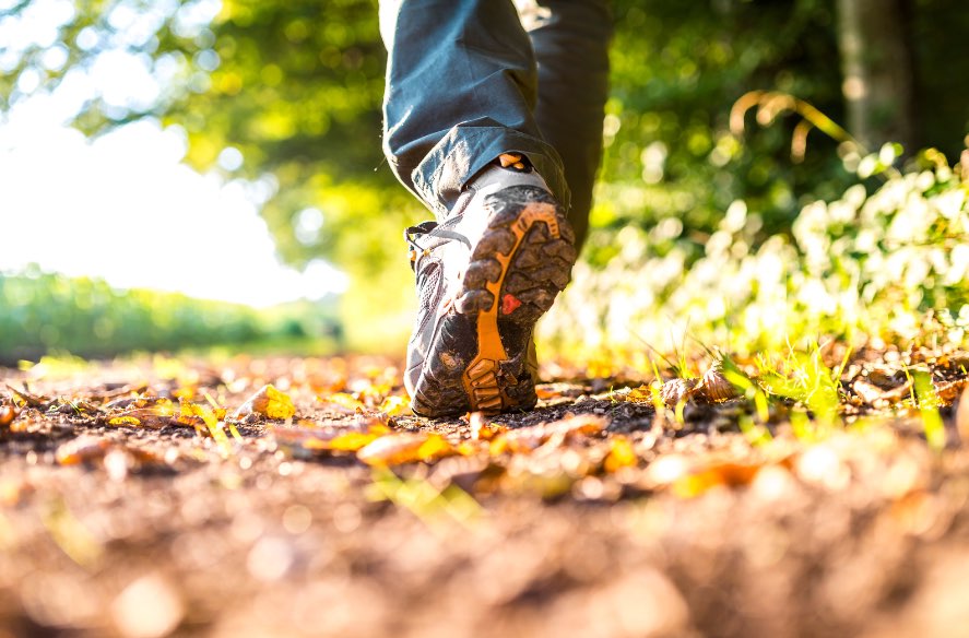Wandel-2-daagse ColckHof - De Twentse Zorgcentra
